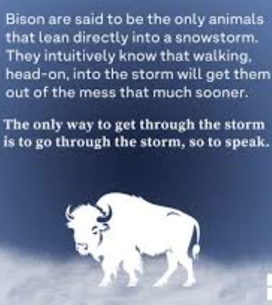 Principal’s Bison Bulletin for January 5 – Mr. Hettenbach's Weekly ...